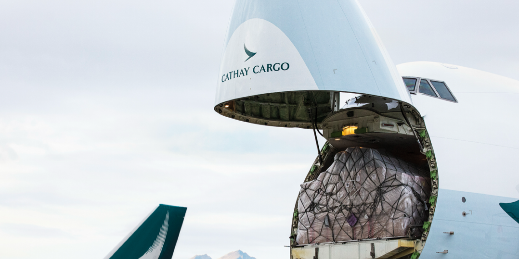 Sign In | Member | Cathay Cargo